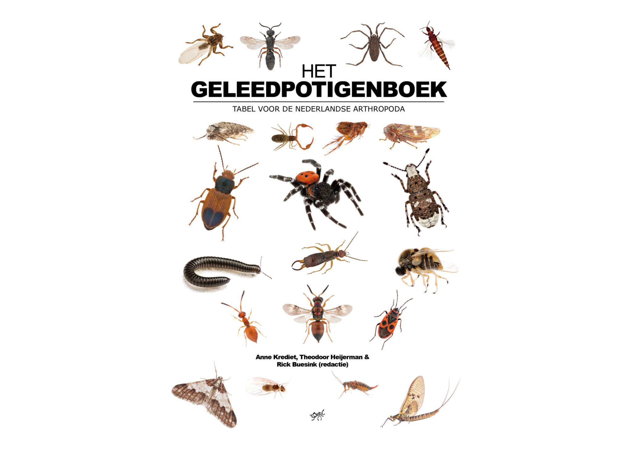 Het geleedpotigenboek - Mieren Nederland
